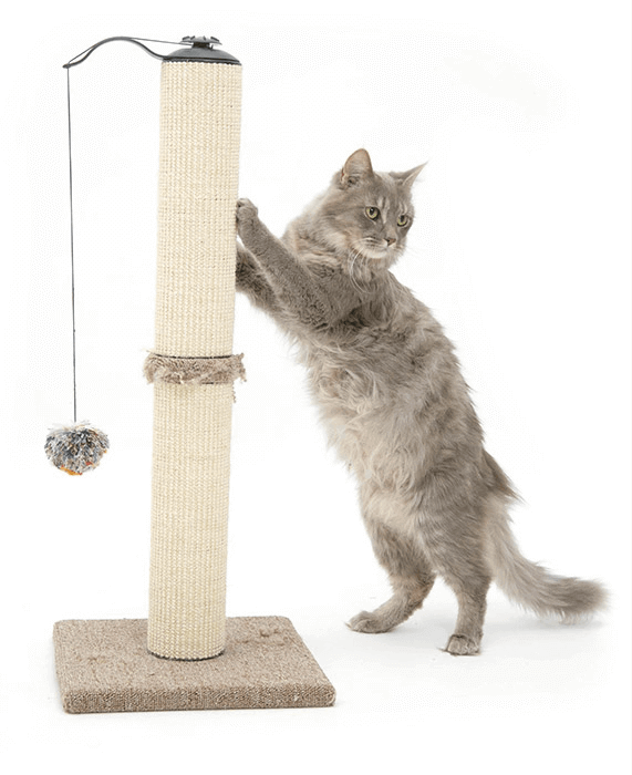 FELISCRATCH by FELIWAY