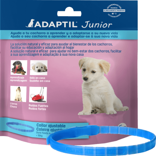 Adaptil para cães e cachorros : fortalece a amizade