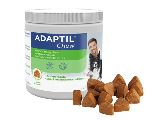 Adaptil para cães e cachorros : fortalece a amizade