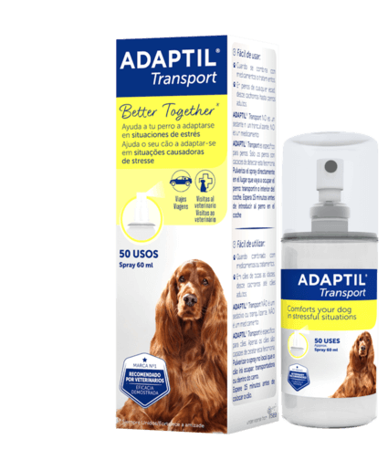 Adaptil para cães e cachorros : fortalece a amizade