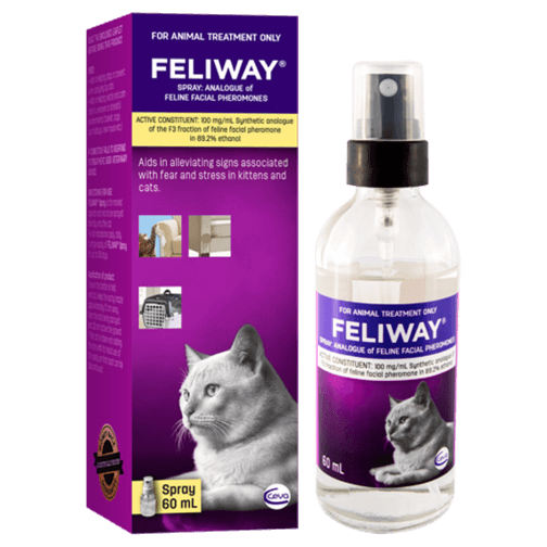 Feliway for cats
