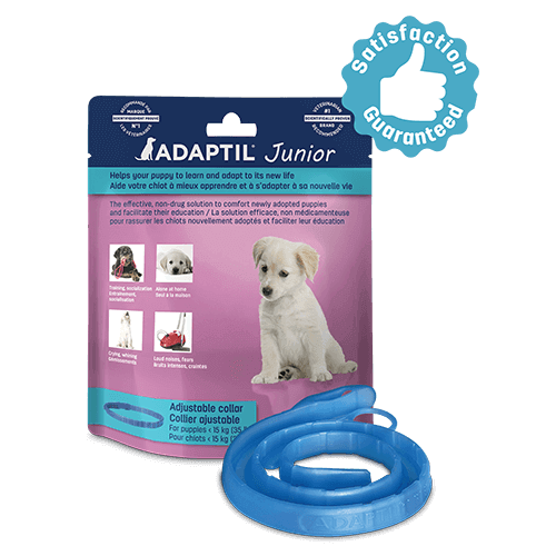 ADAPTIL Junior Collar for Puppies