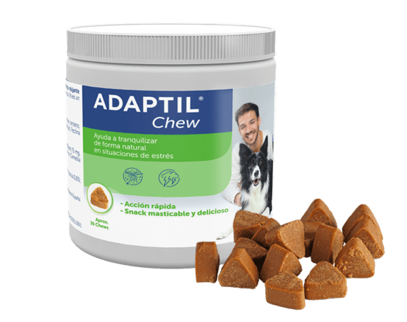 ADAPTIL Chew - Ajude o seu cão a diminuir o stresse de forma rápida em ...