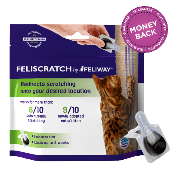 FELISCRATCH by FELIWAY