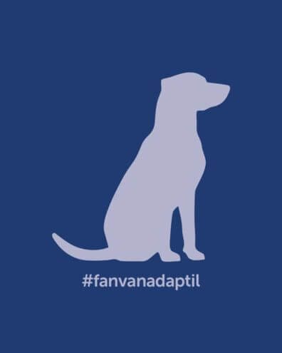 djarah , Nyssah / Succesverhalen / Adaptil