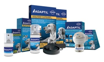 Where to buy ADAPTIL