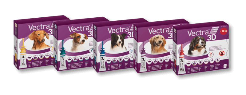 Vectra ® Felis for cats / Cat / Vectra 3D