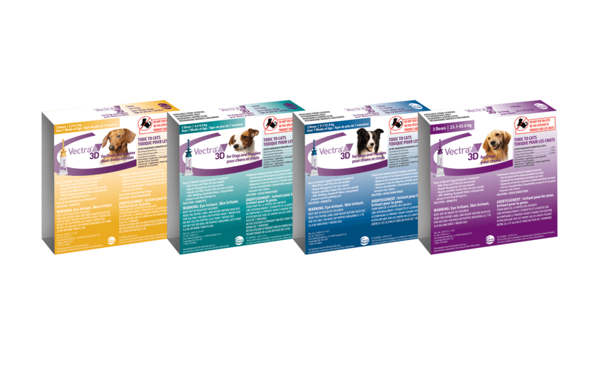 Fleas / Parasites / Dog / Vectra 3D