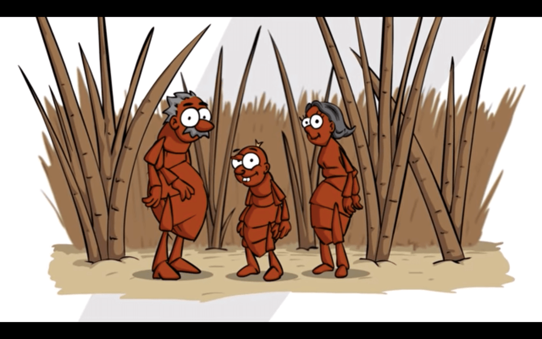 Vlooien / Parasieten / Hond / Vectra, de pipet met zekerheid tegen ...