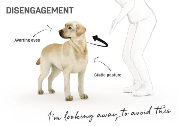 What does it mean when you dog...?