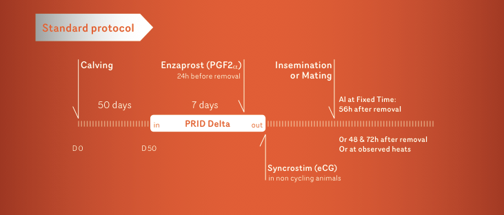 PRID DELTA / Products / Reprodaction