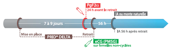 PRID® DELTA / Produits / Reprodaction
